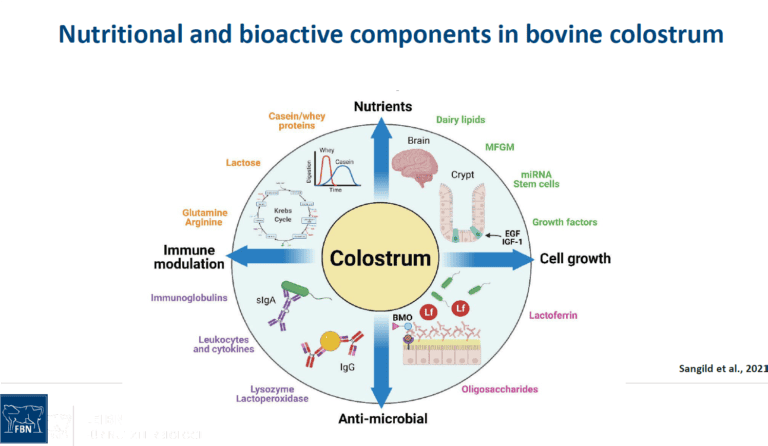 Smart Calf Rearing Conference 2023 | part 2 - CalfBlog