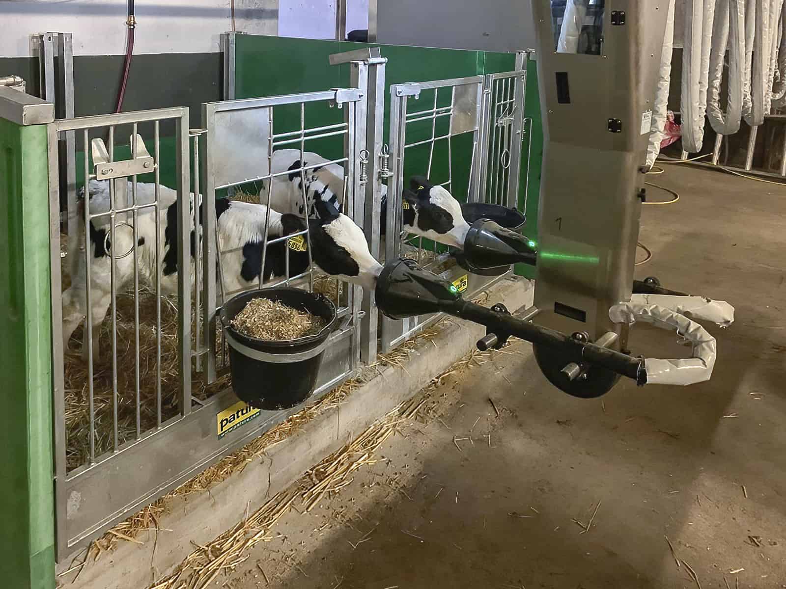 Smart Calf Rearing Conference 2023 - CalfBlog