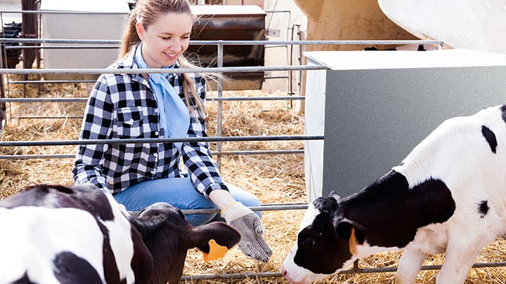 The “right” people to “manage” the calf feeder - CalfBlog